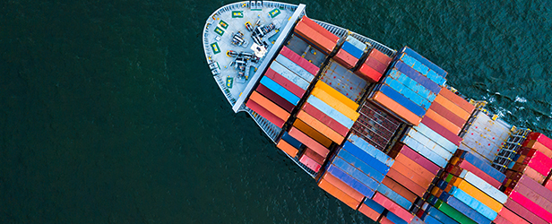 Maros and Taro software products overview