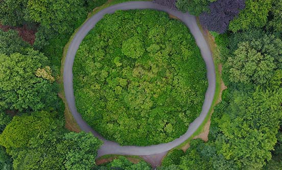 Maros and Taro software products overview